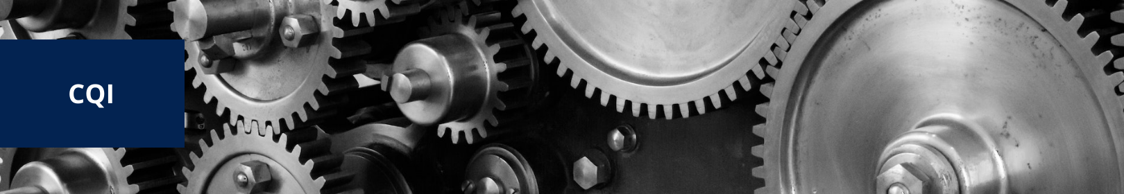 CQI: Erfüllung der Kundenanforderungen und Sicherstellung hoher Produk